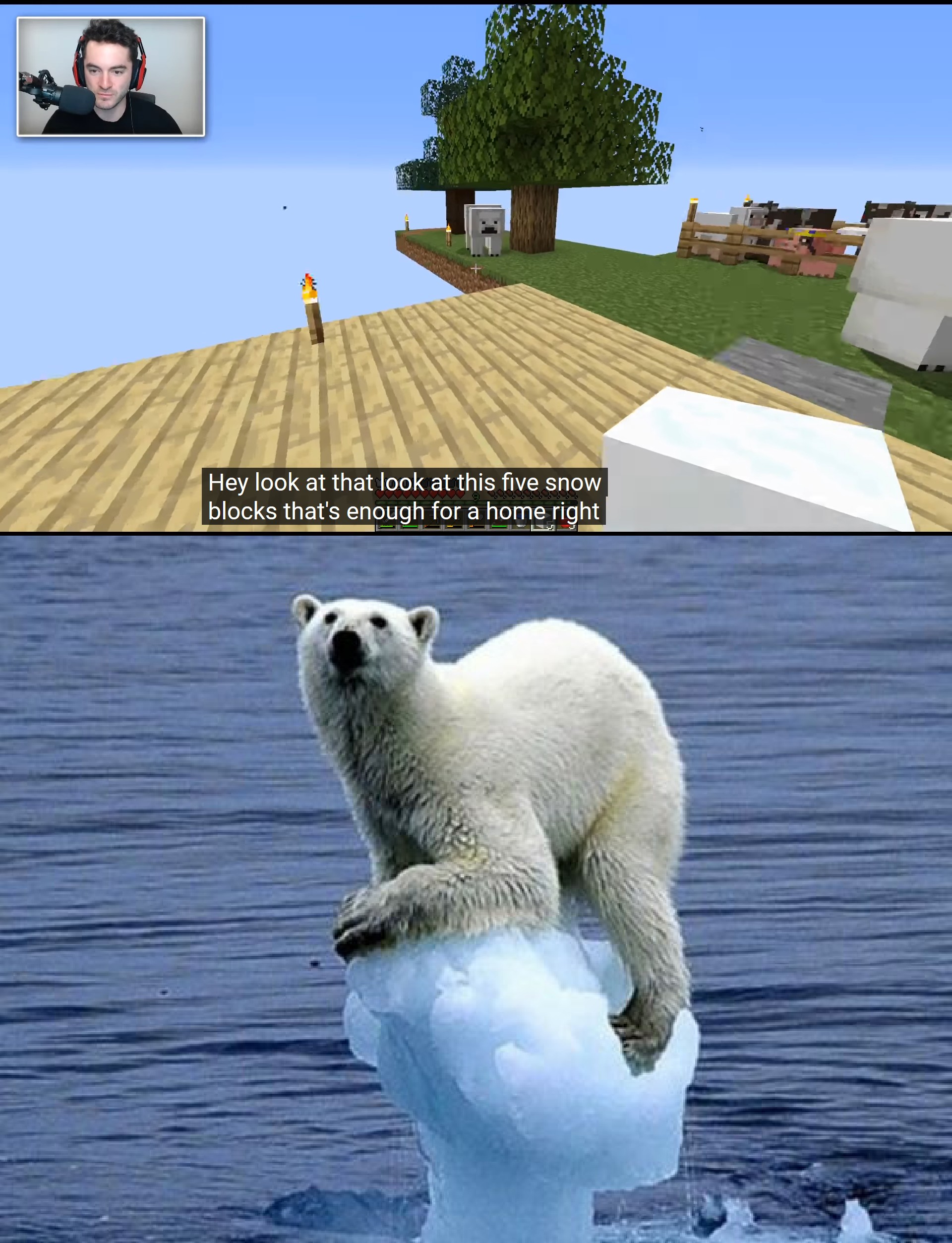 Remember the Polar Bears | Scrolller