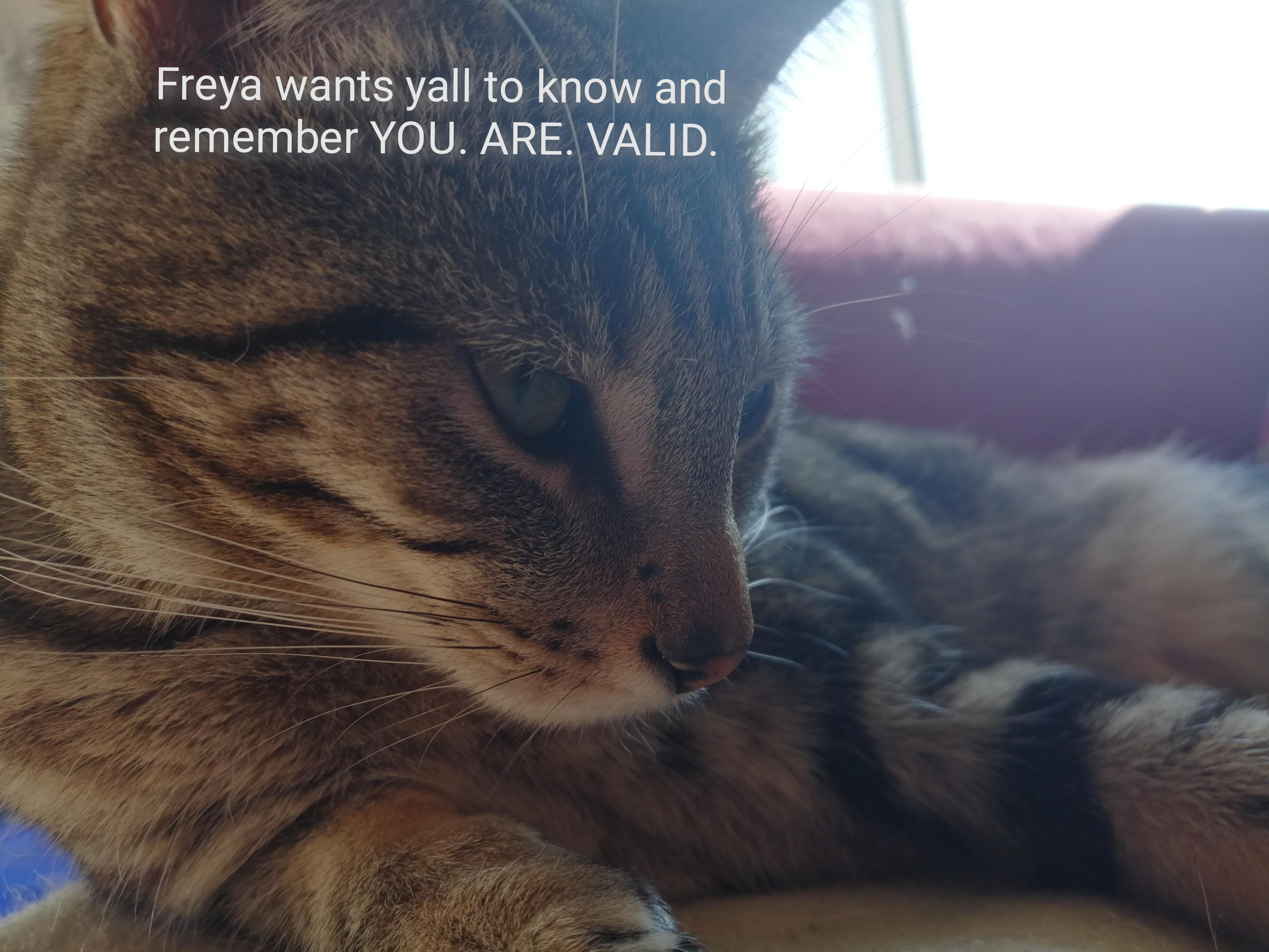 Remember yall! | Scrolller