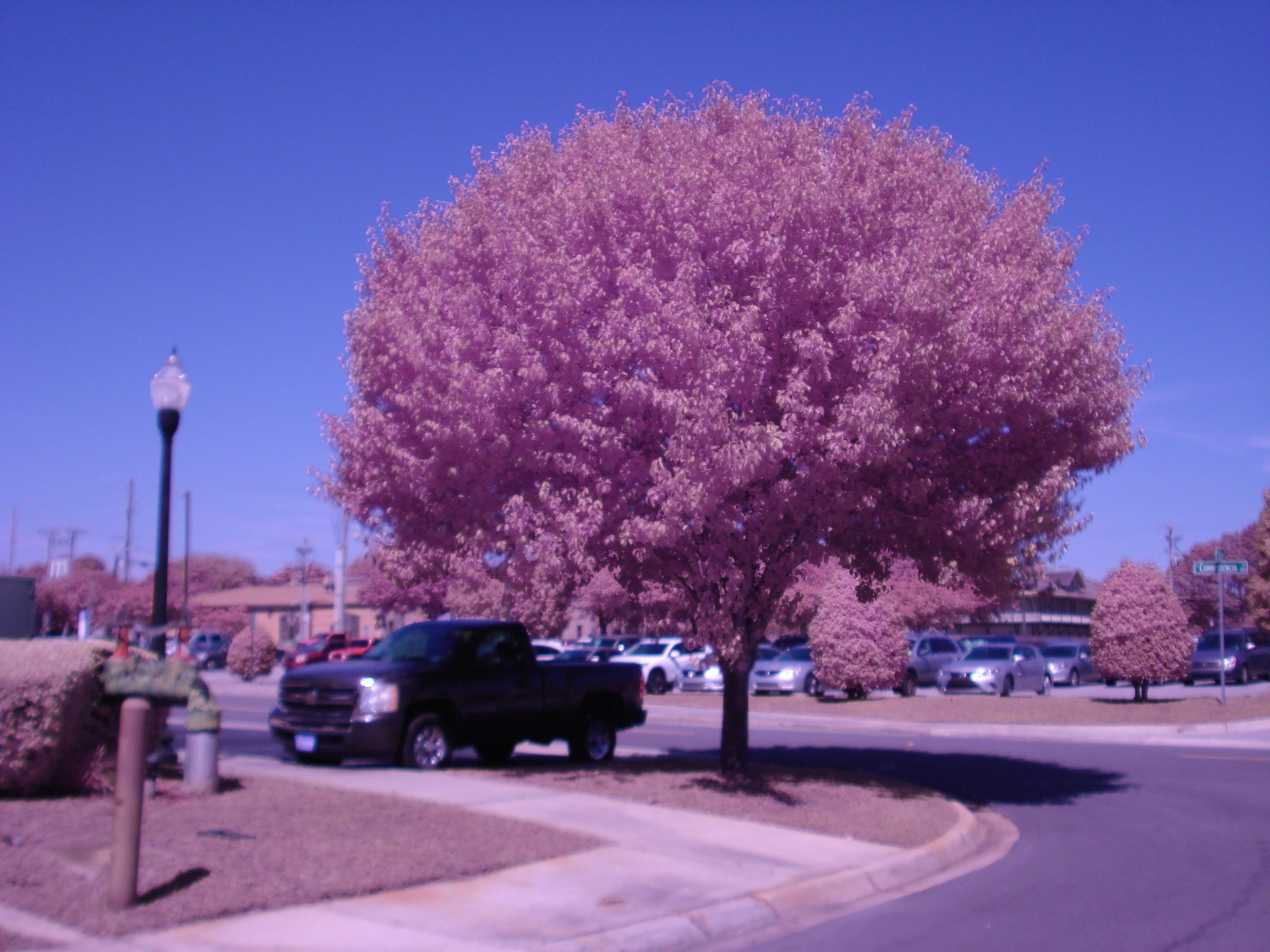 Removed IR filter from old Cybershot I had laying around. First pic. Front focus shift is a ...