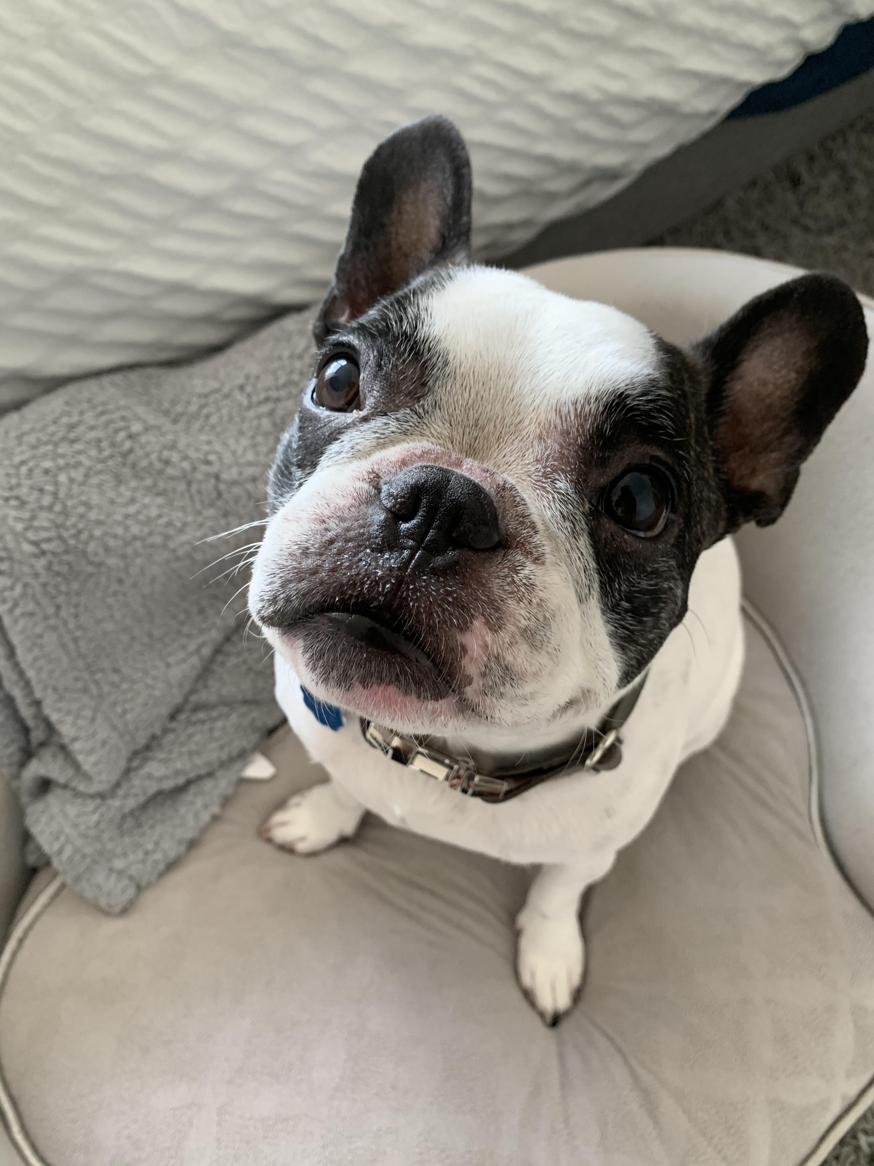 Remy showing off his feetsies | Scrolller