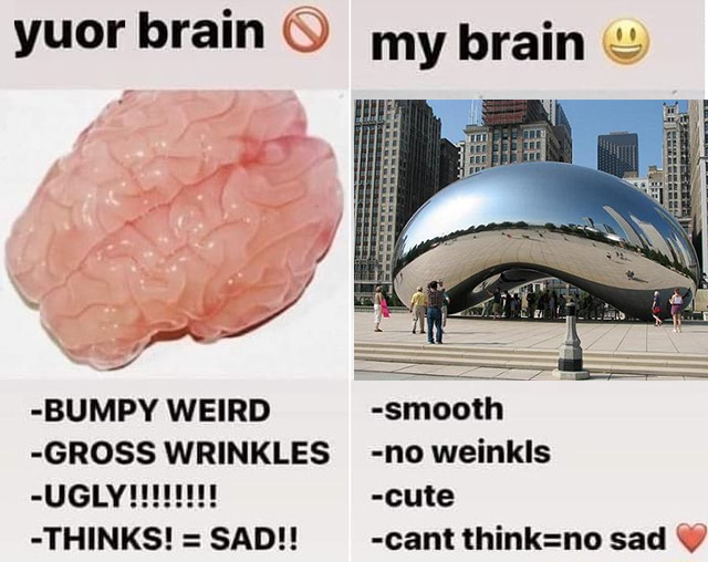 Reopen rule | Scrolller