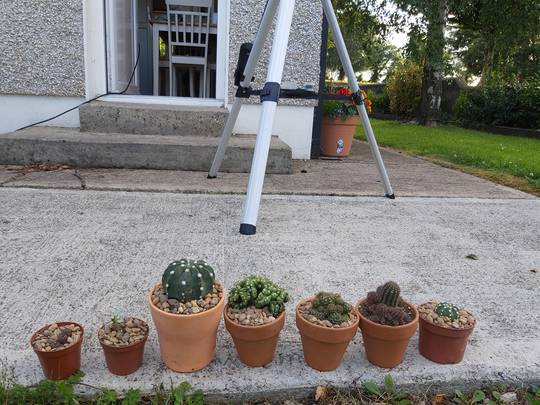 Repotting | Scrolller