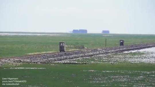 Nick’s dream come true | Scrolller