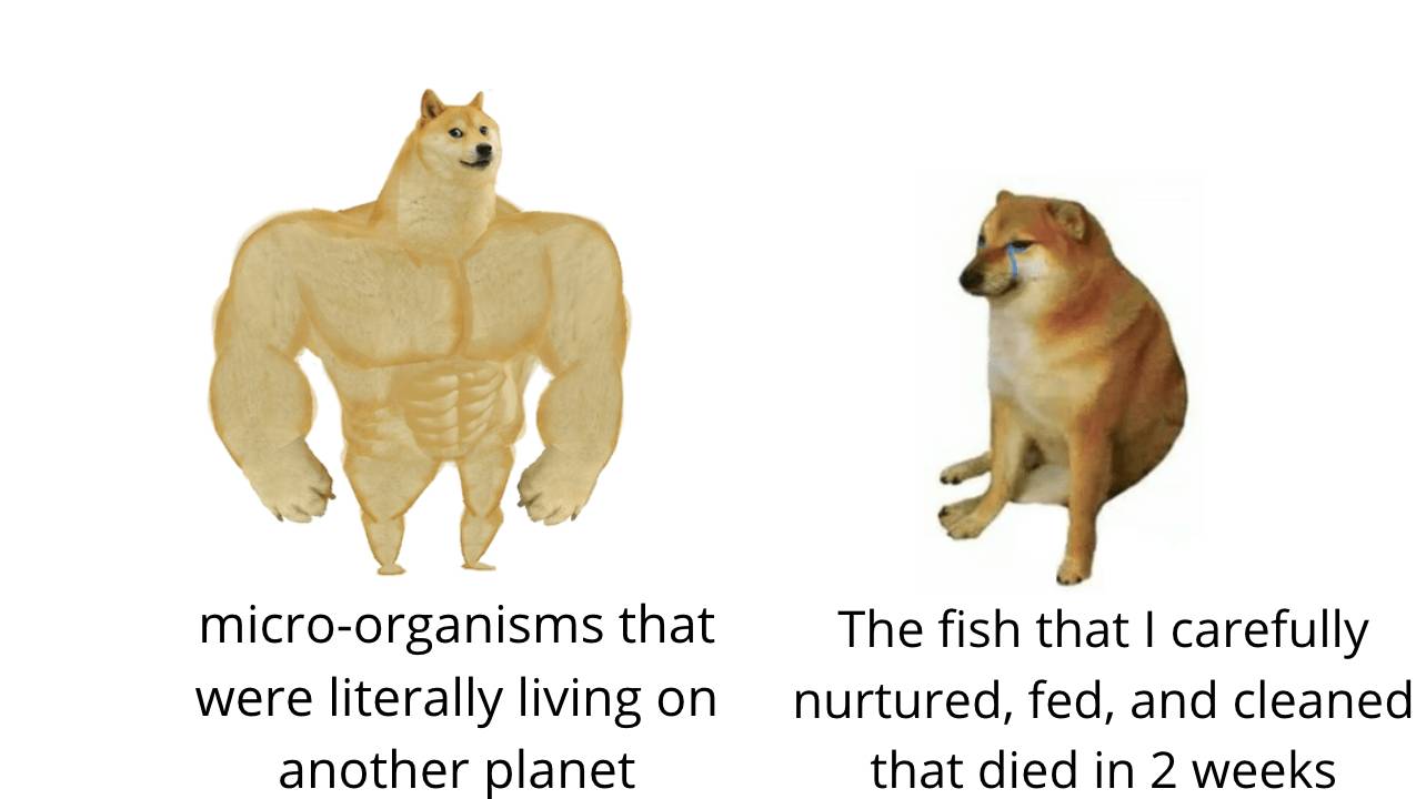 Rest in peace Billy, I'm so sorry | Scrolller