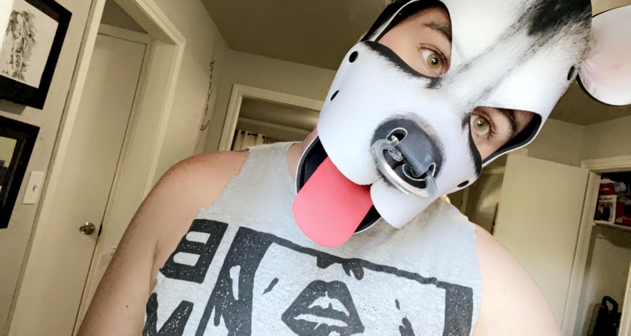 Restless puppy | Scrolller