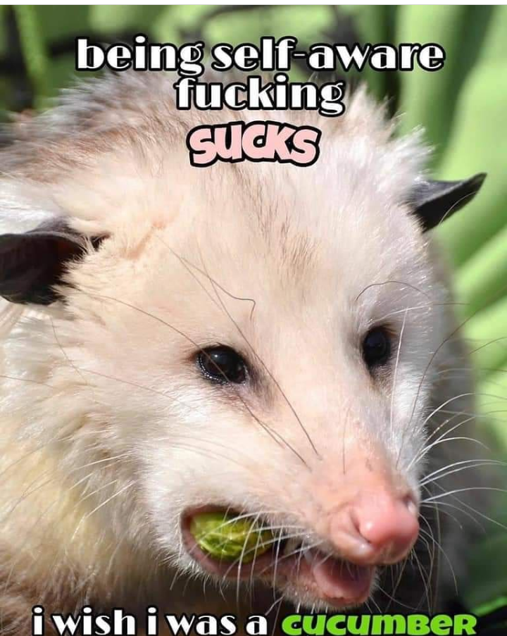 Return to cucumber | Scrolller