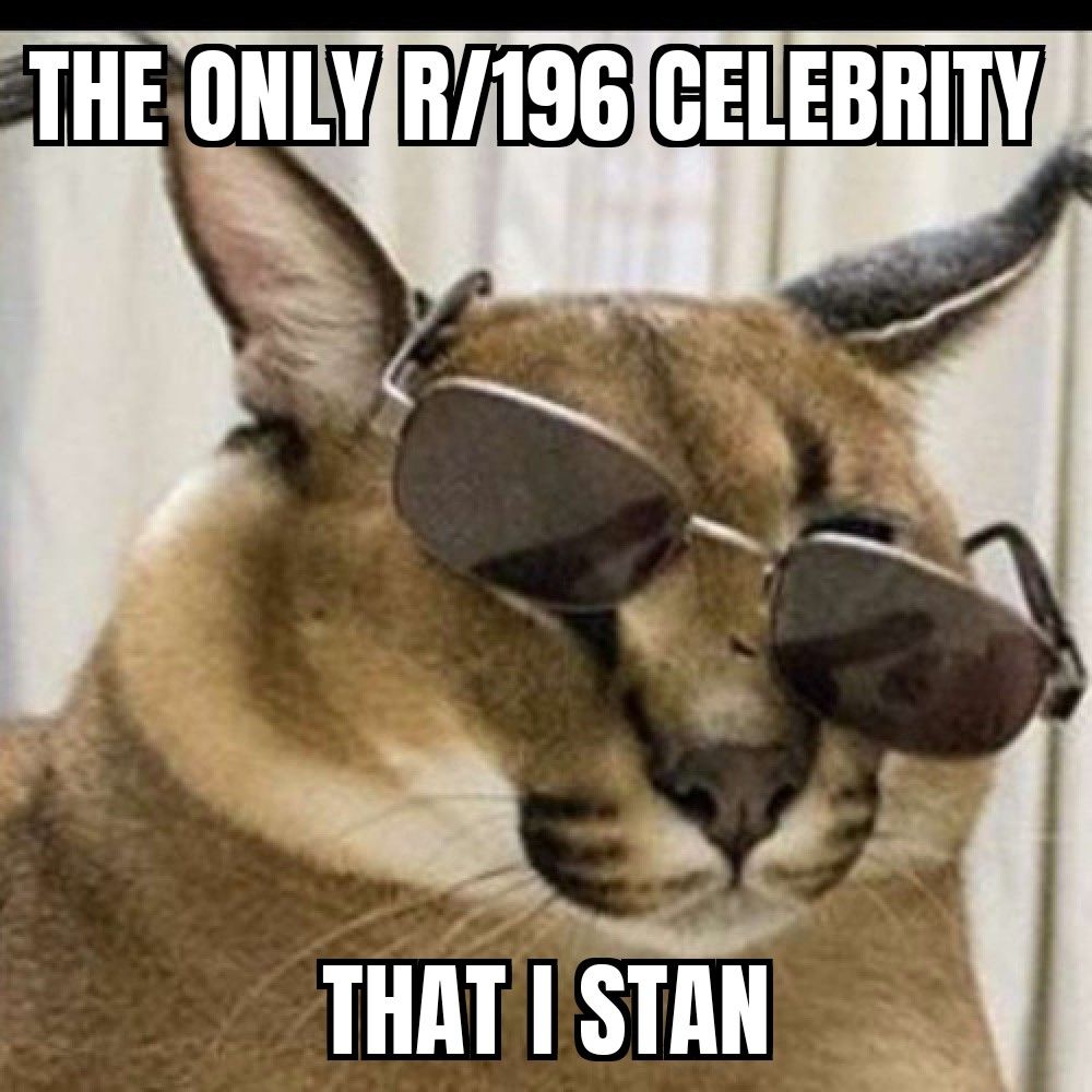 Return to Floppa | Scrolller