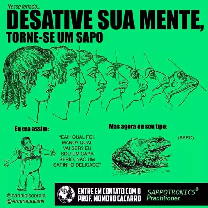 Return to frog | Scrolller