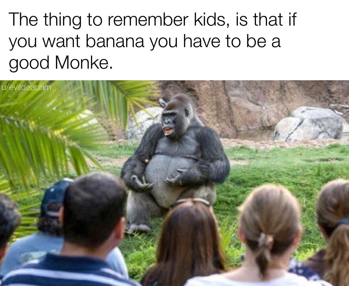 RETURN TO M O N K E. | Scrolller