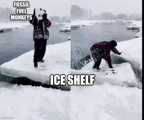 Return to monke | Scrolller