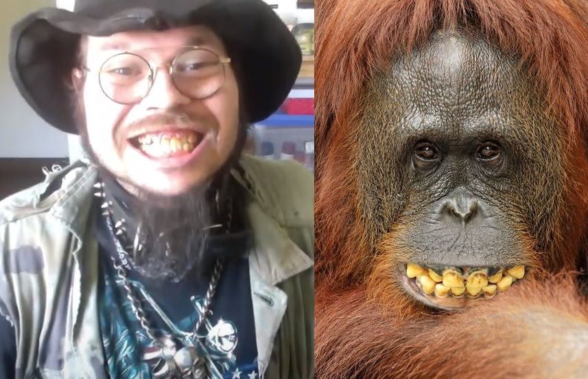 Return to Monke | Scrolller