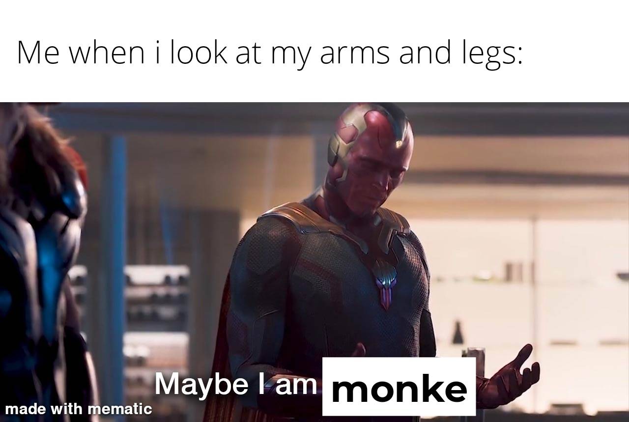 returned to monke successfully | Scrolller