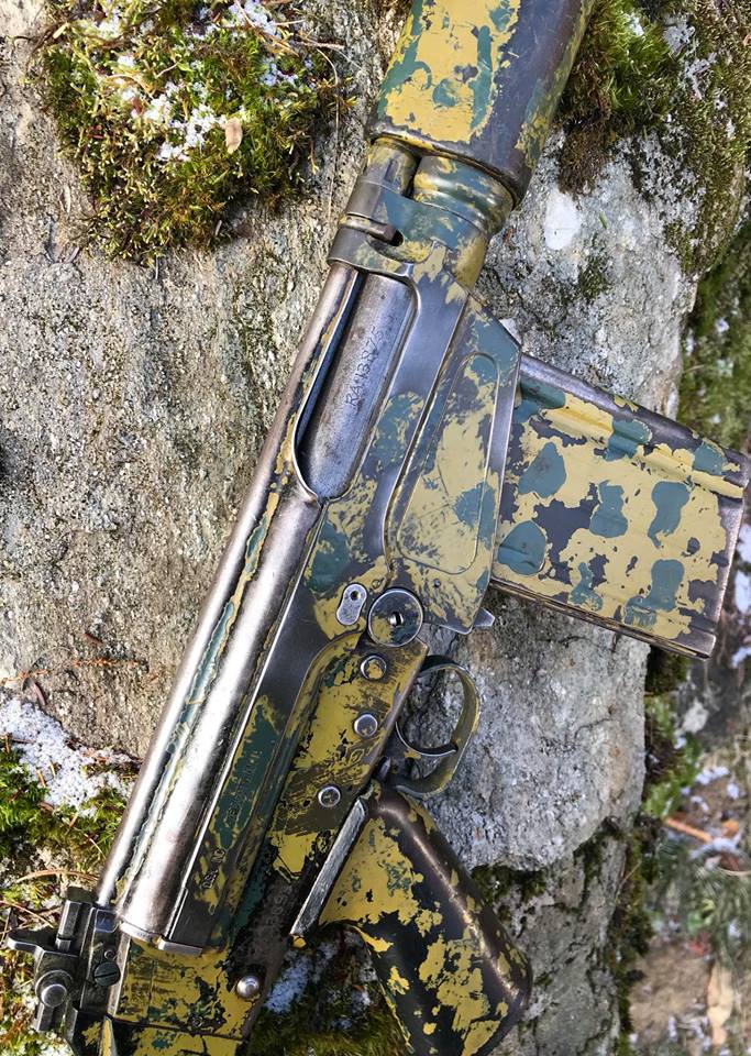 Rhodie FAL Friday | Scrolller