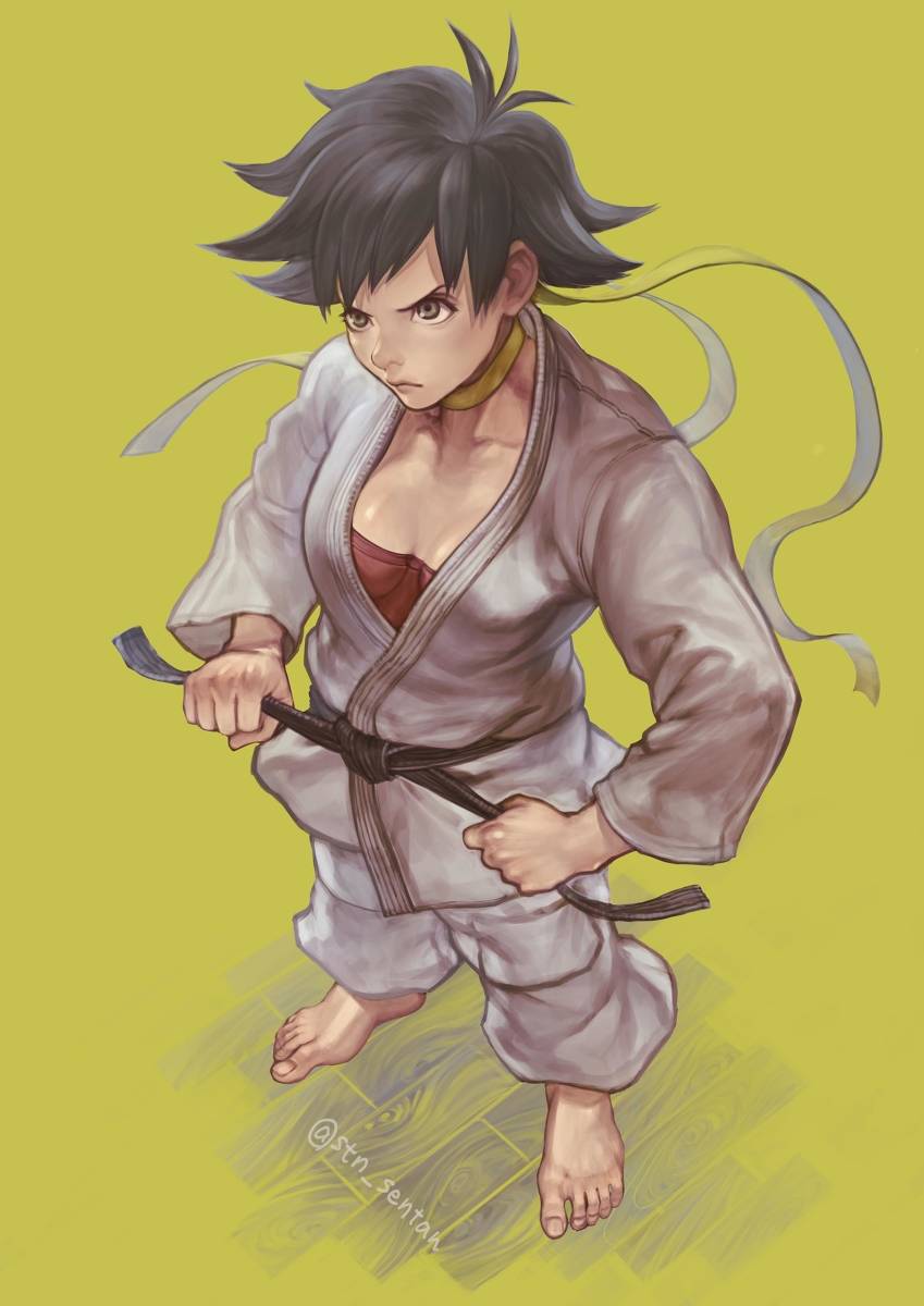 Rindo-kan Karate is the best. [Street Fighter] | Scrolller