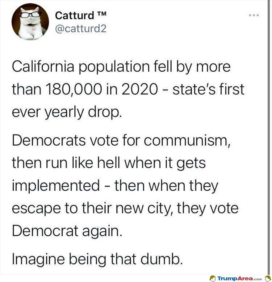 Rinse and Repeat | Scrolller