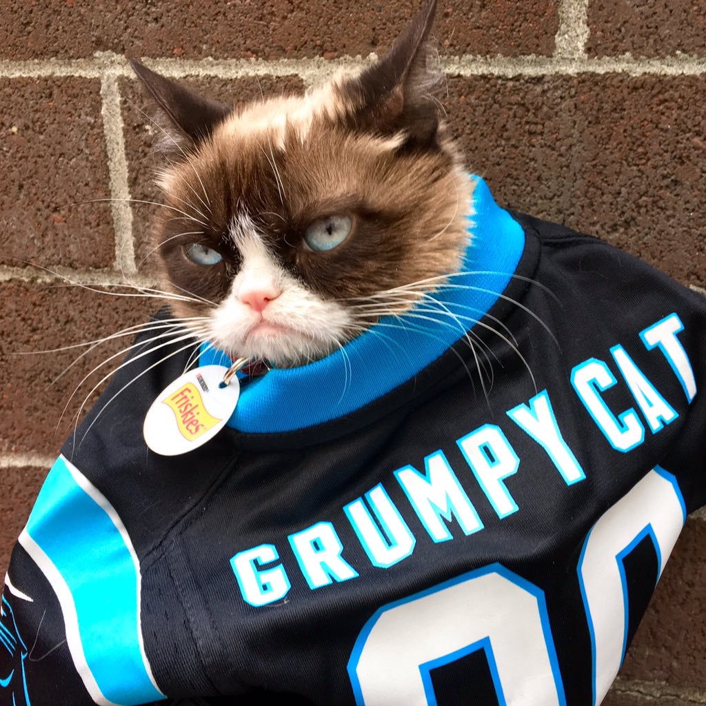 RIP Grumpy Cat | Scrolller