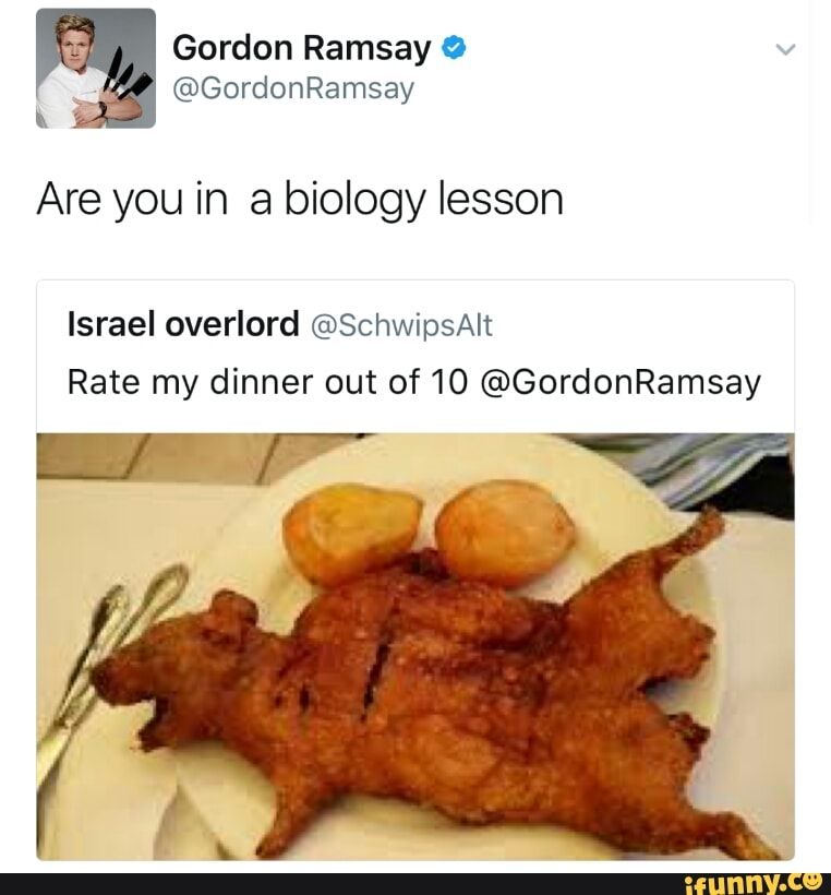 Roadkill is back on the menu, boys! | Scrolller