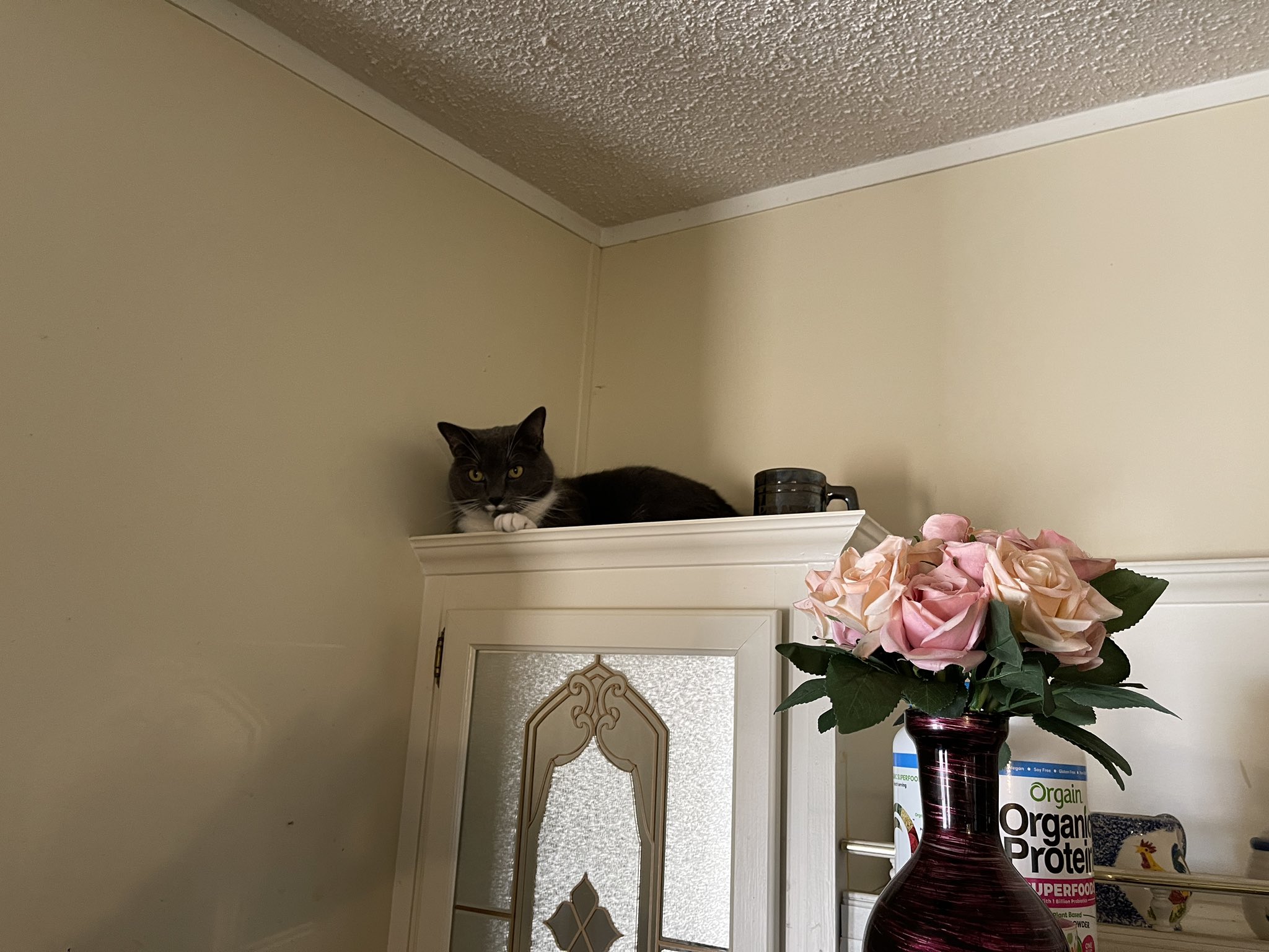 Rocco trying to escape Bucket World | Scrolller