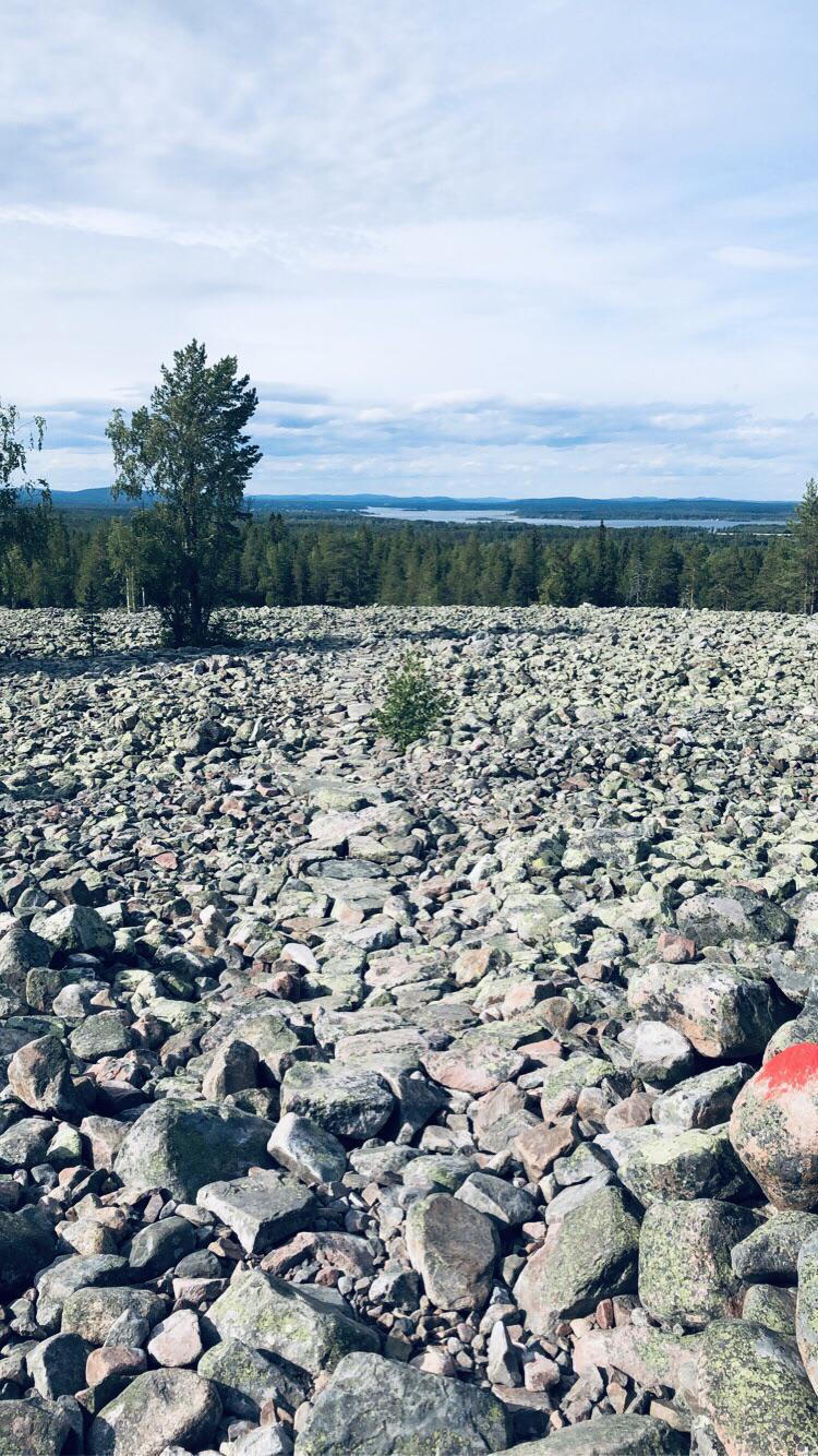 Rocks… a lot of rocks | Scrolller