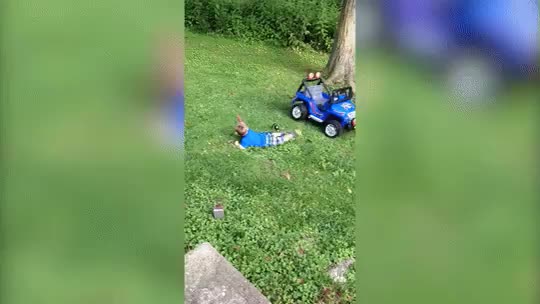 Rolling like a G | Scrolller