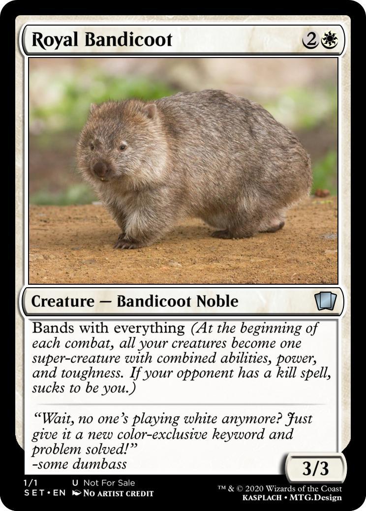 Royal Bandicoot | Scrolller