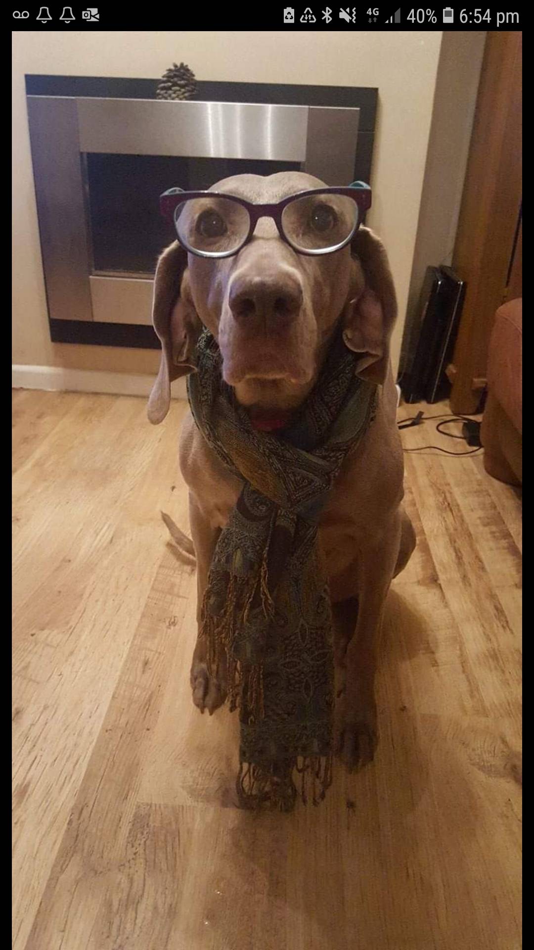 Ruby is 13 this year | Scrolller