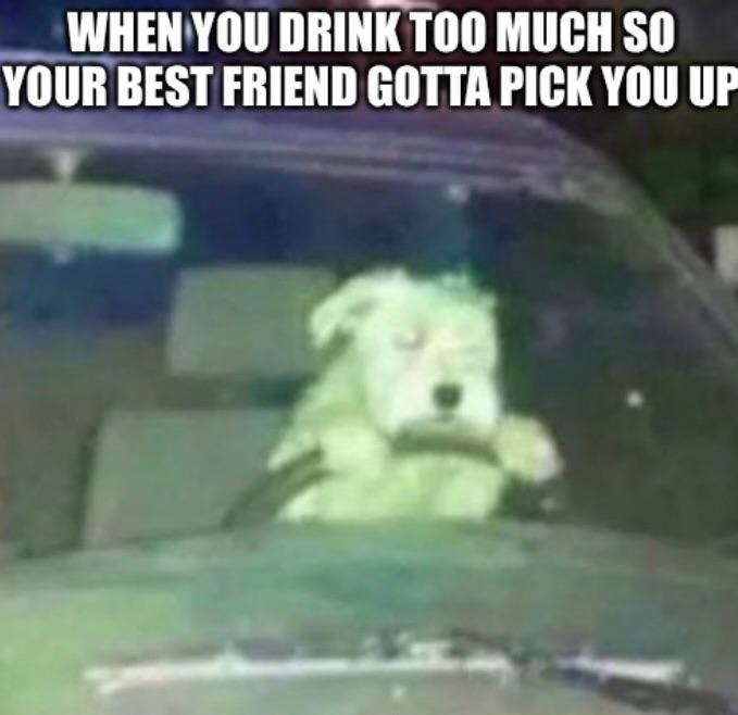 Ruff night | Scrolller