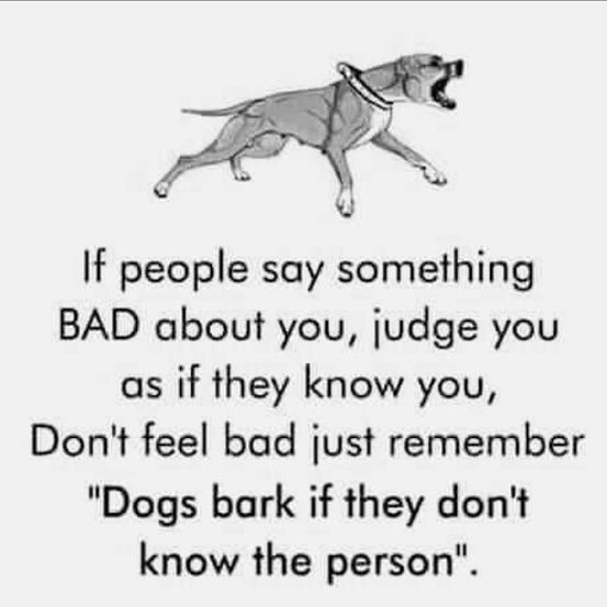 Ruff ruff | Scrolller