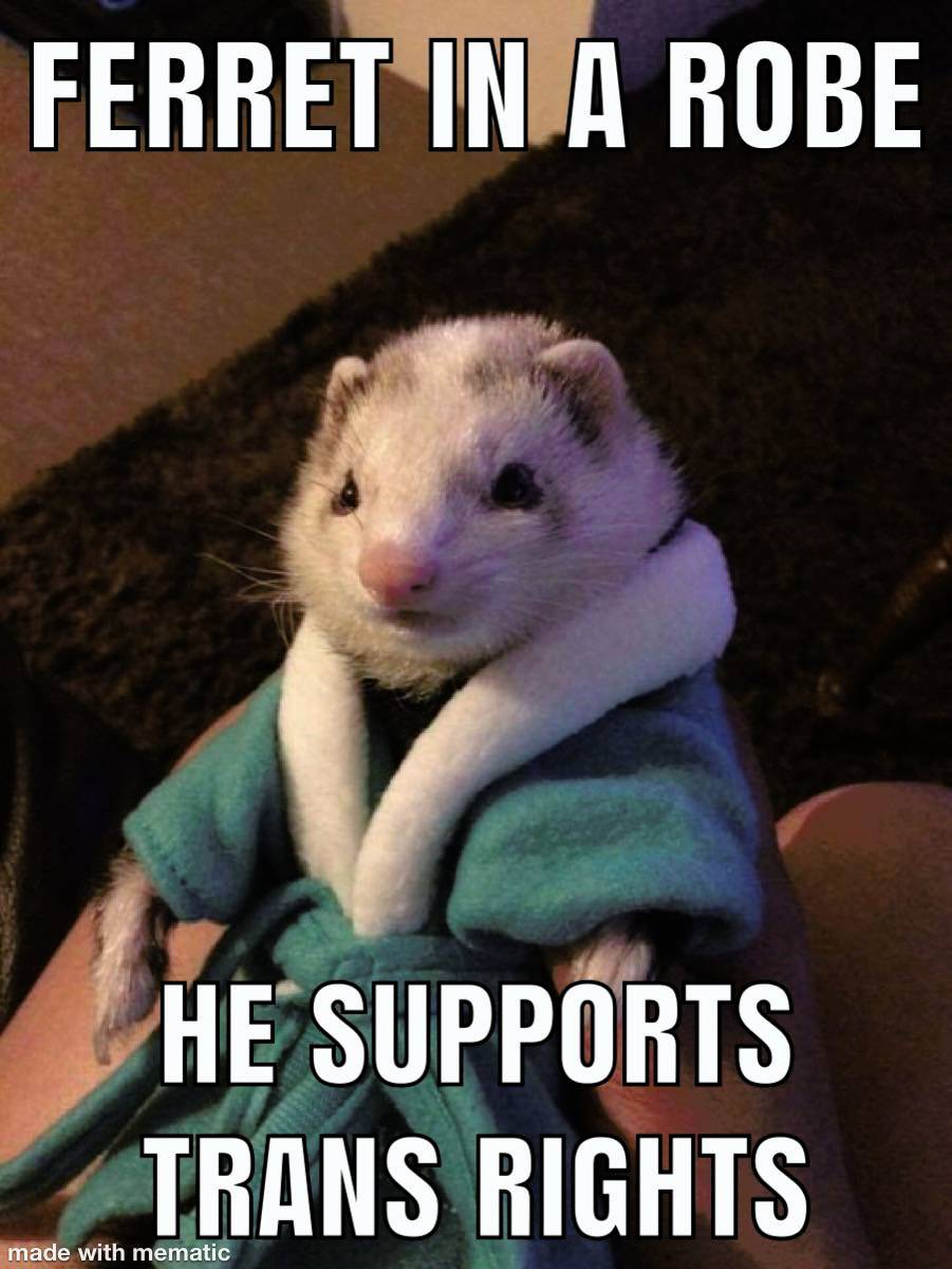 Rule ferret | Scrolller