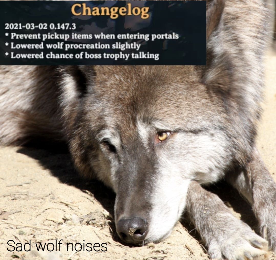 Sad Wolf Noises | Scrolller