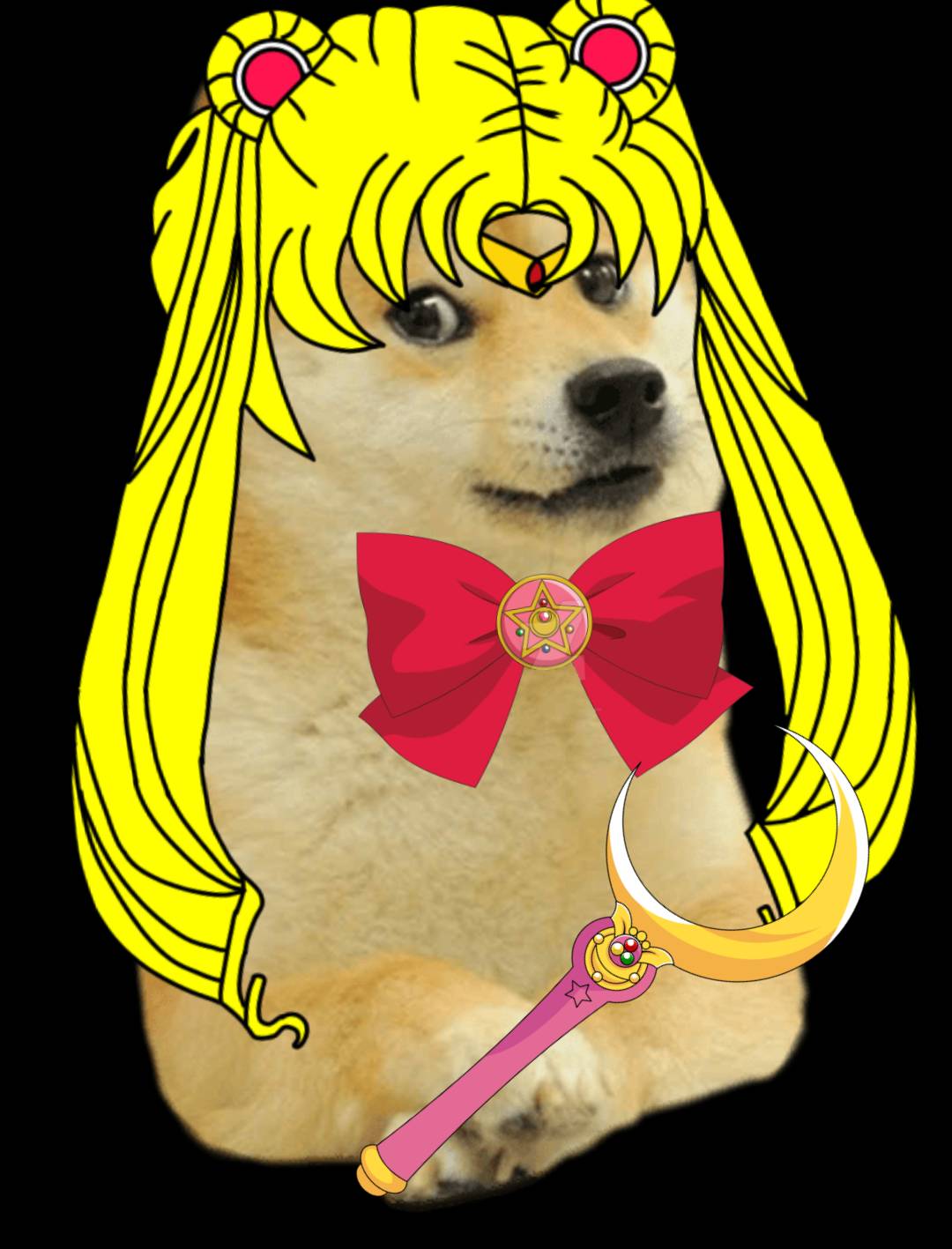 Sailor doge | Scrolller