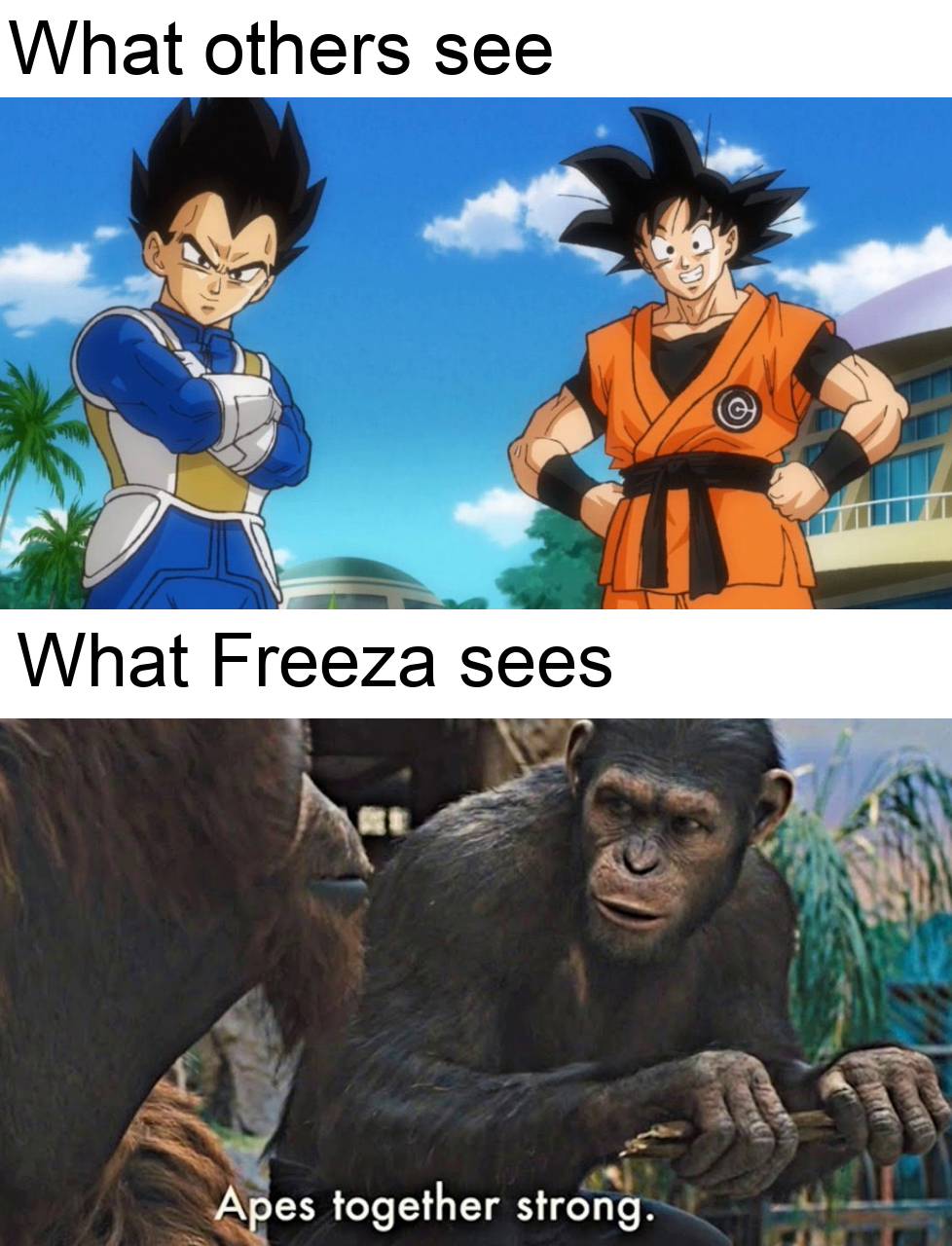 Saiyan monke | Scrolller