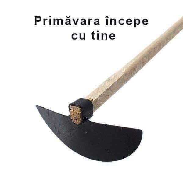 Sala moca | Scrolller