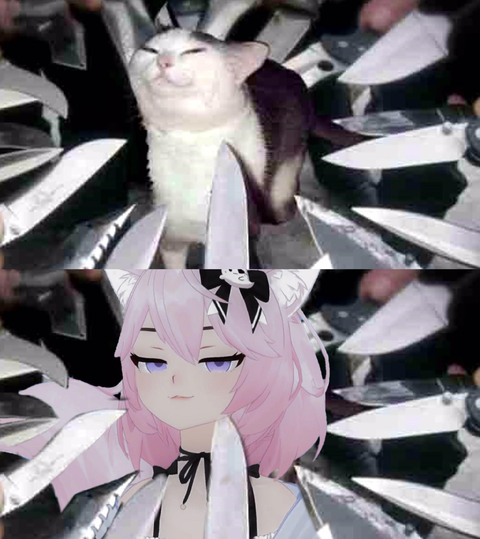 Same energy | Scrolller