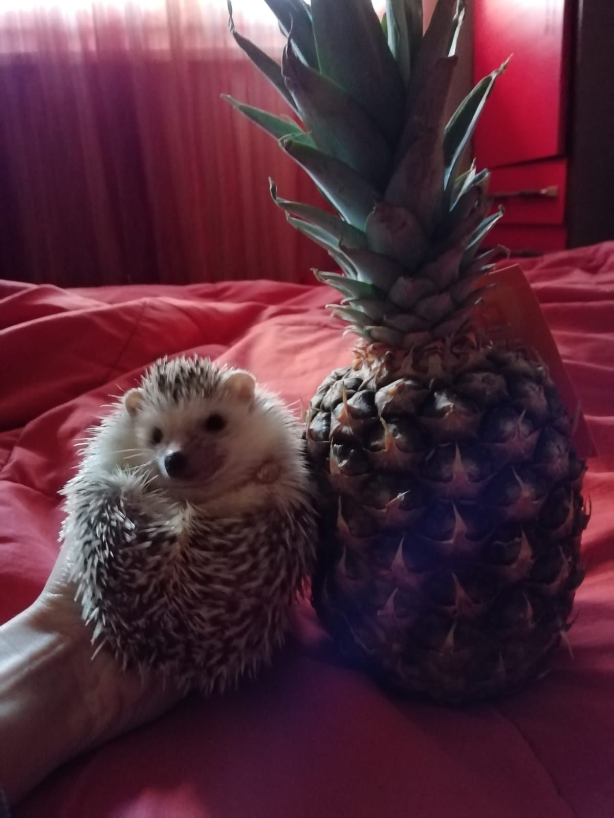 Same same, but different | Scrolller