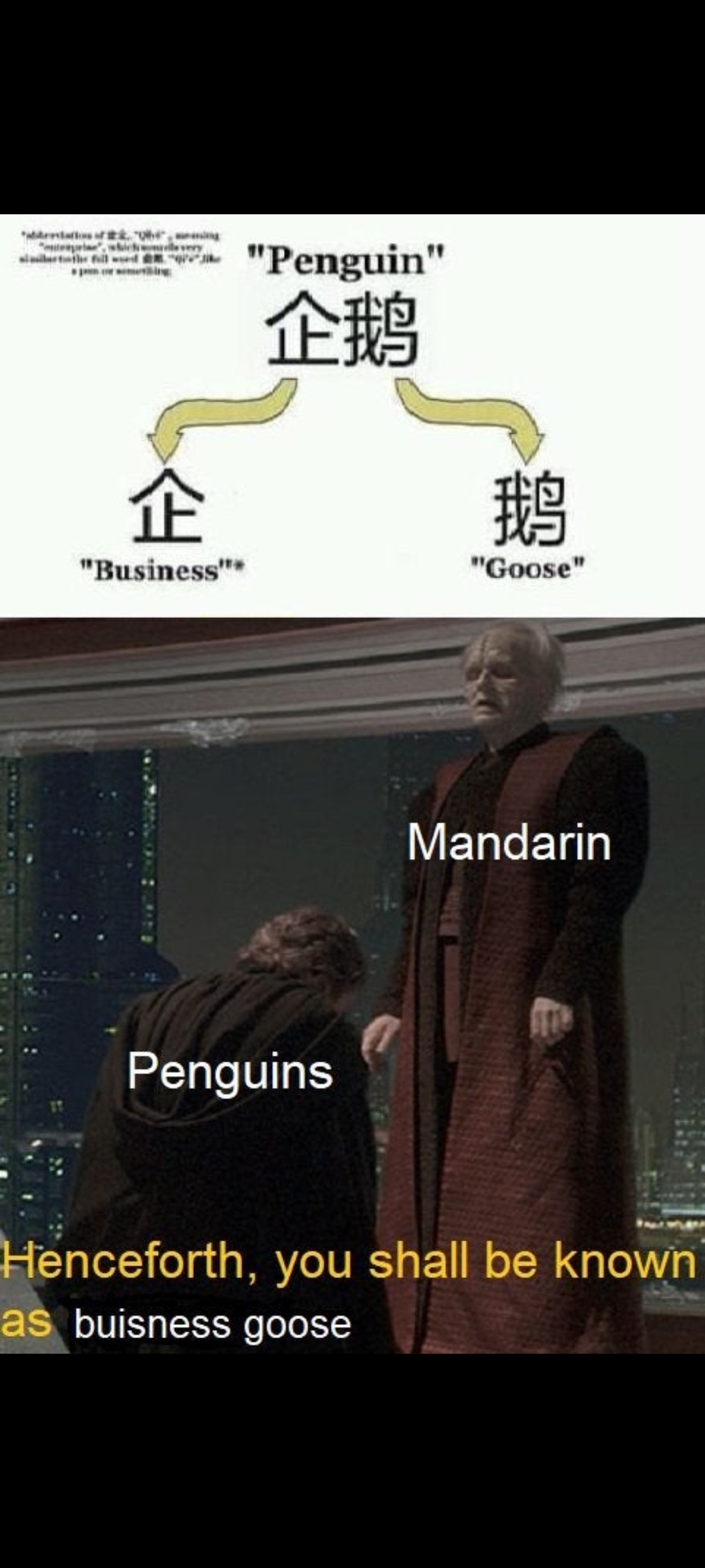 Sammy wouldve loved this. | Scrolller