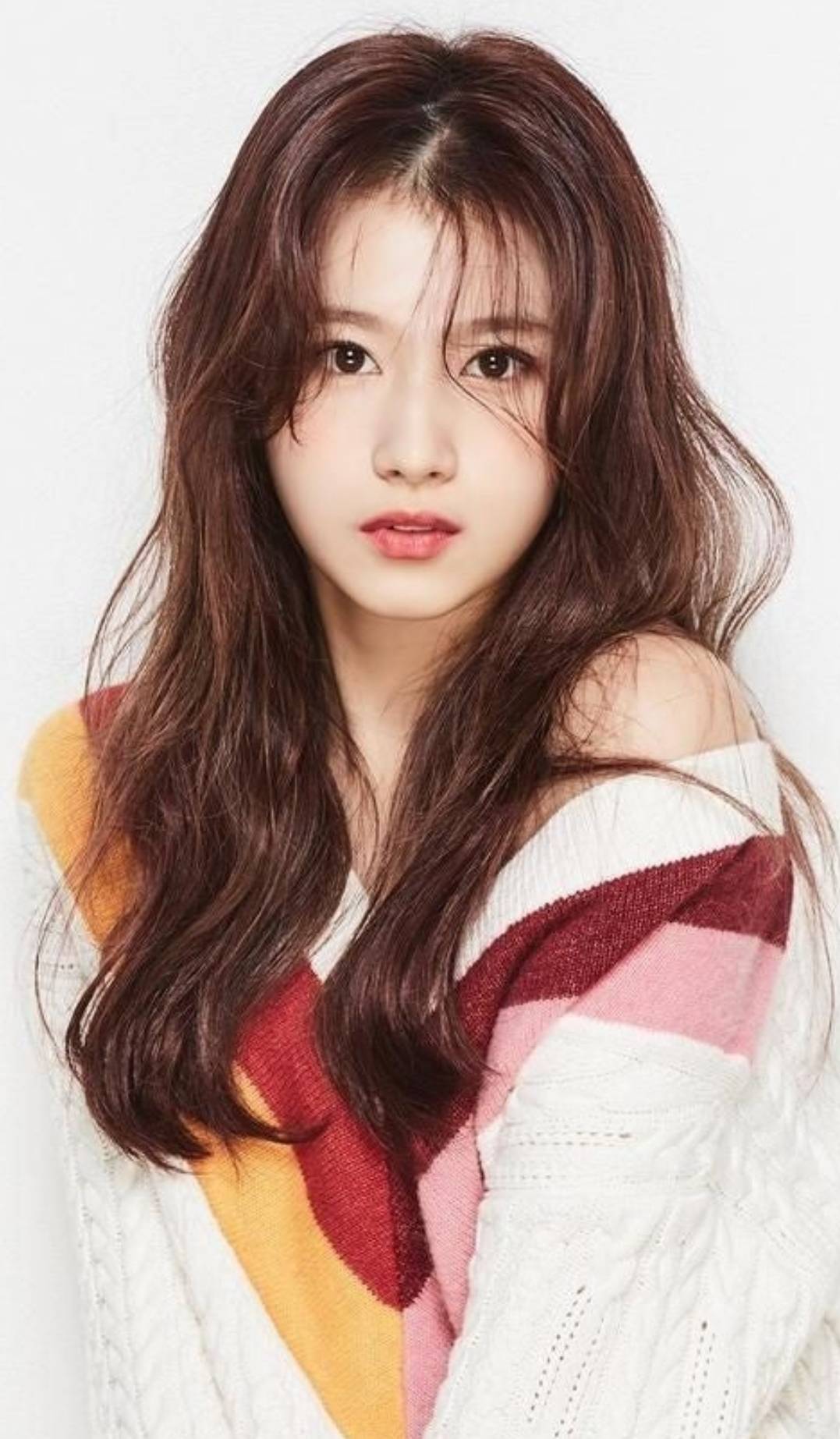 Sana - white sweater, multi colored accents | Scrolller