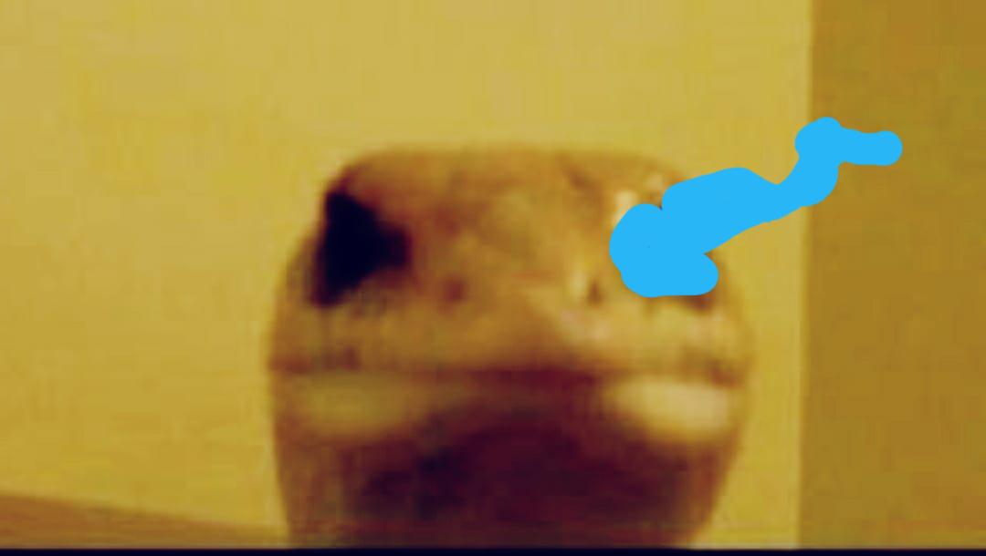 Sans snek | Scrolller