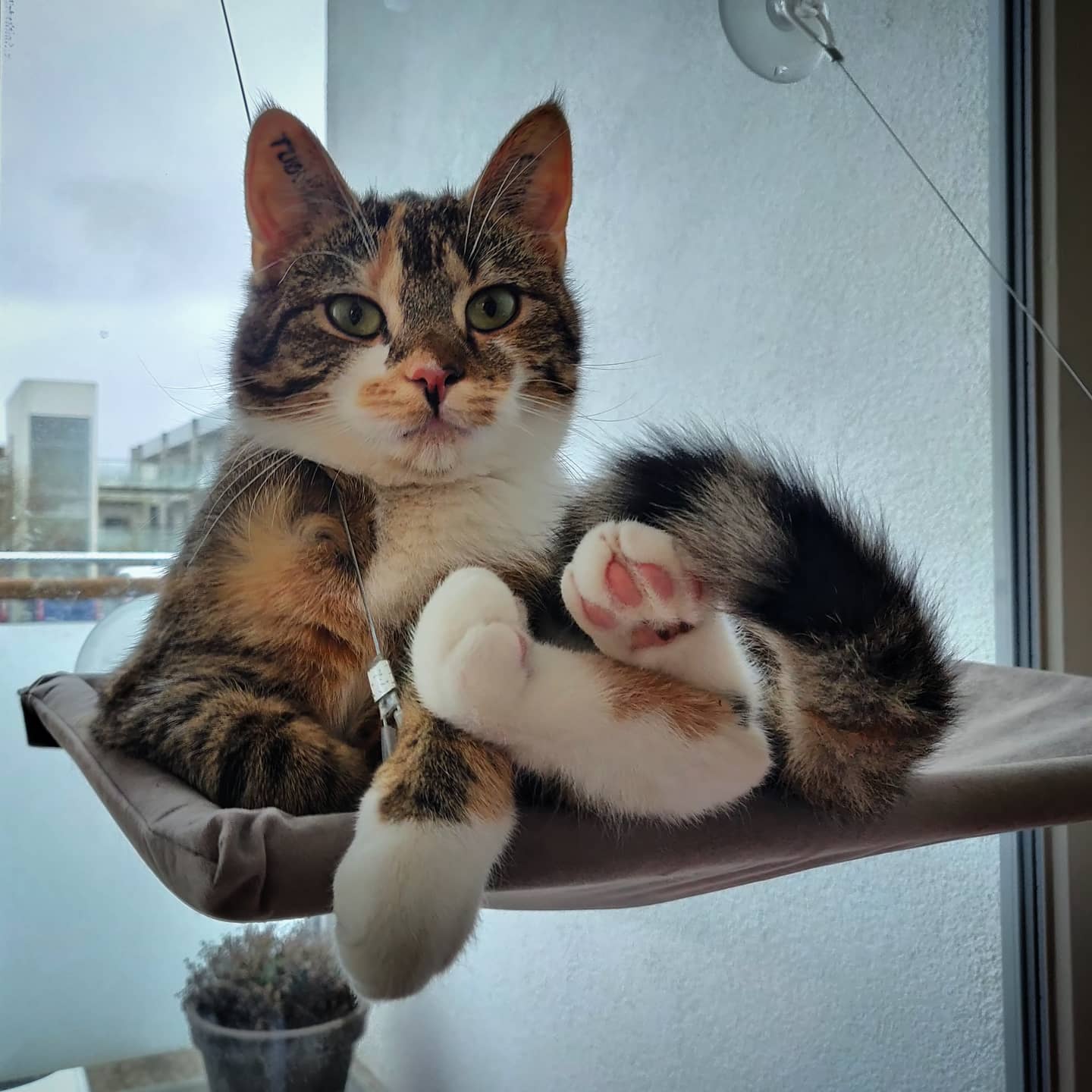 Saturday chilling mode activated | Scrolller