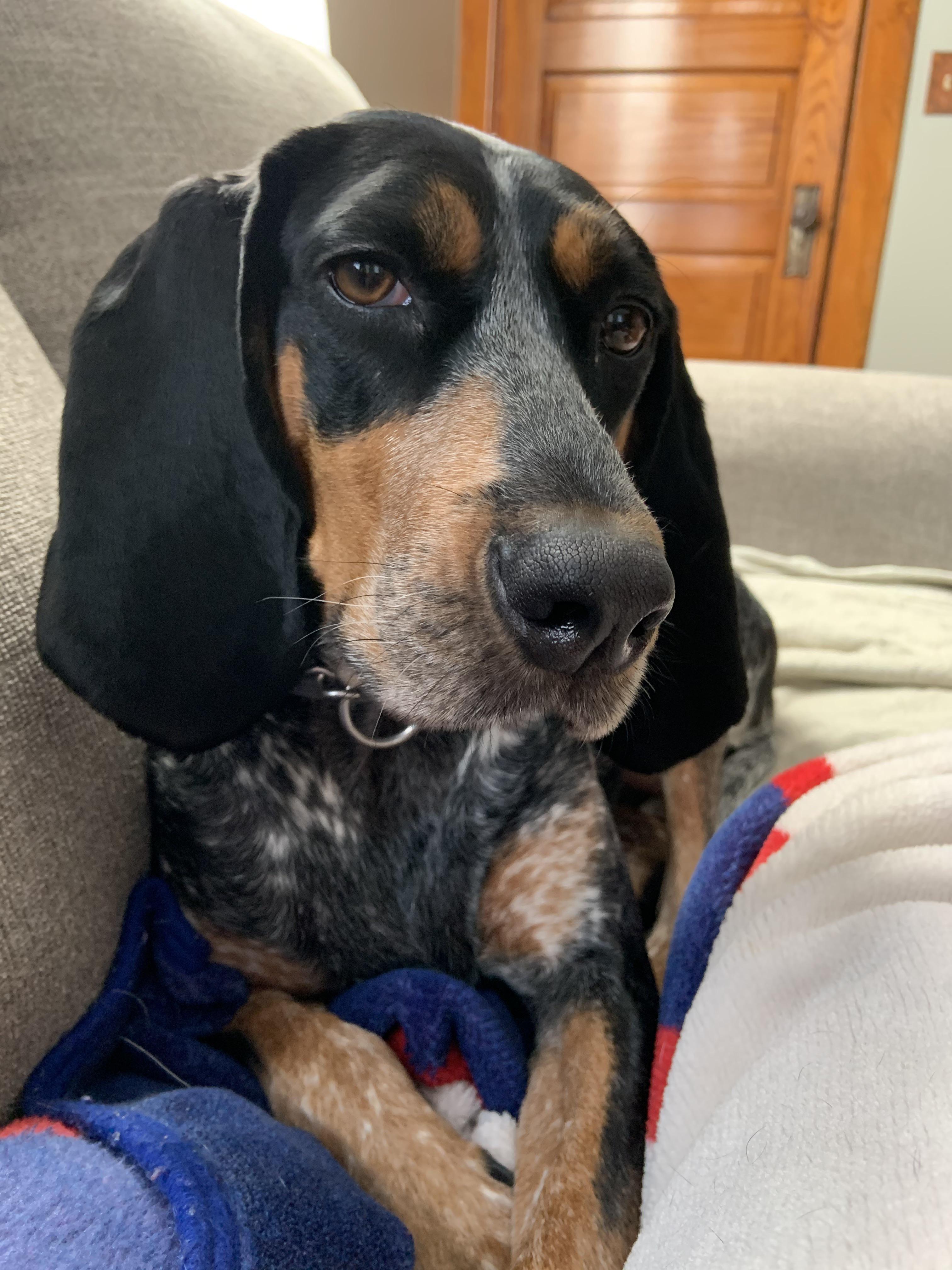 Saturday morning snuggles | Scrolller