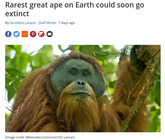 save monke | Scrolller