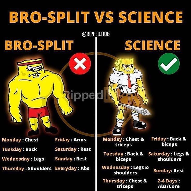 Saw this shit on Instagram lol,why spongebob? | Scrolller