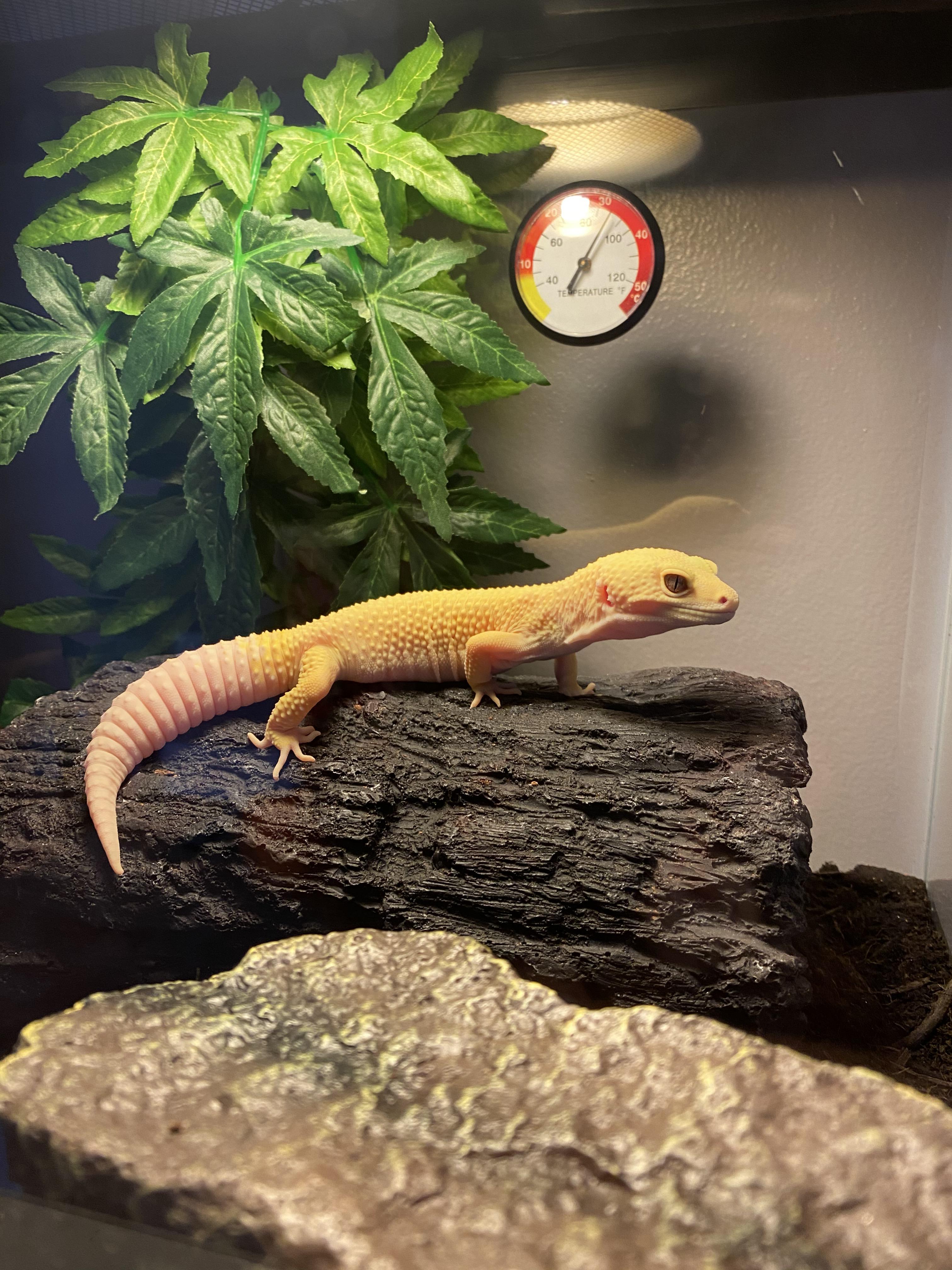 Say hello to mr stinky butt😝 | Scrolller