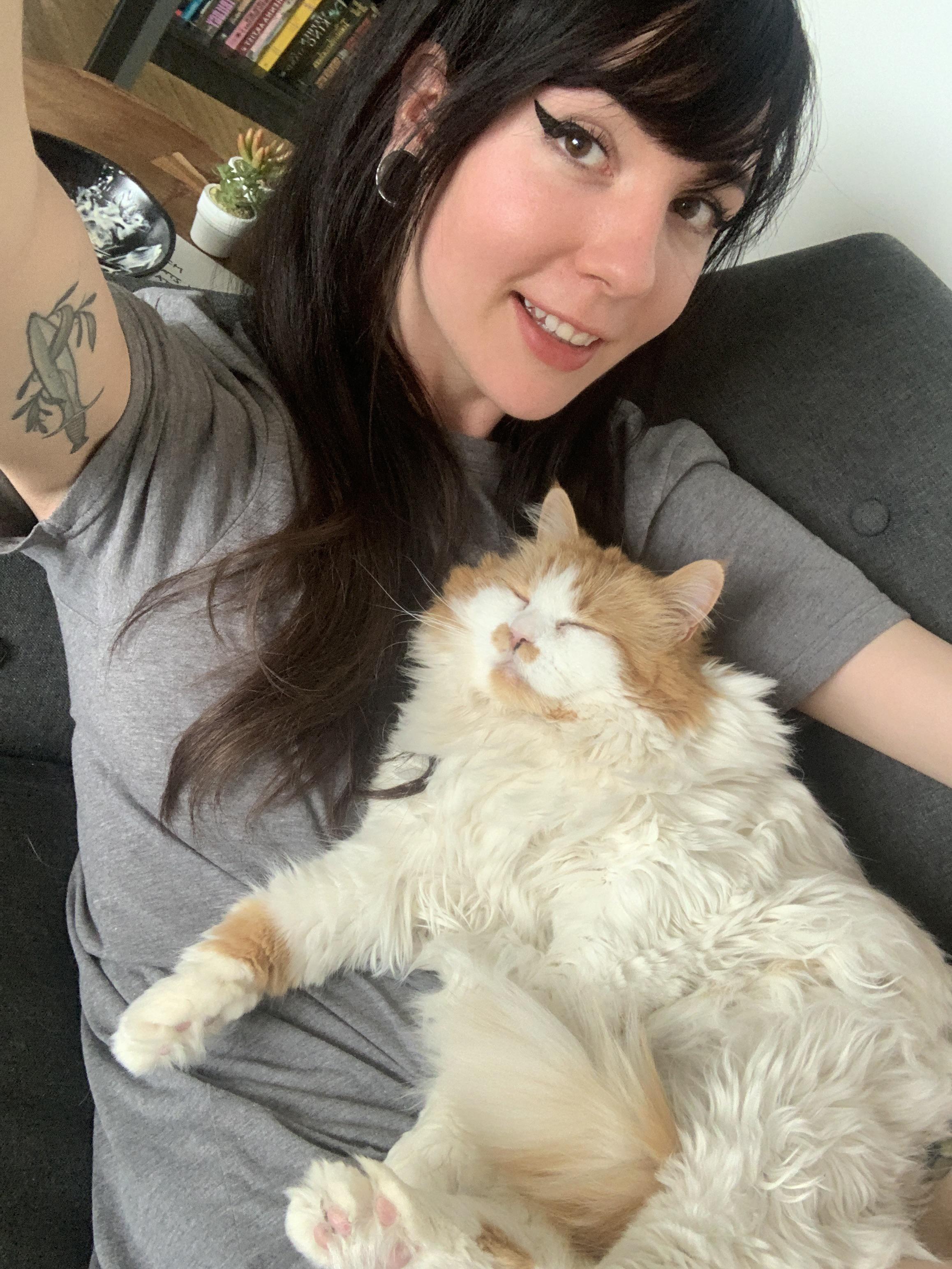 Say hi to Clementine 🐱 | Scrolller