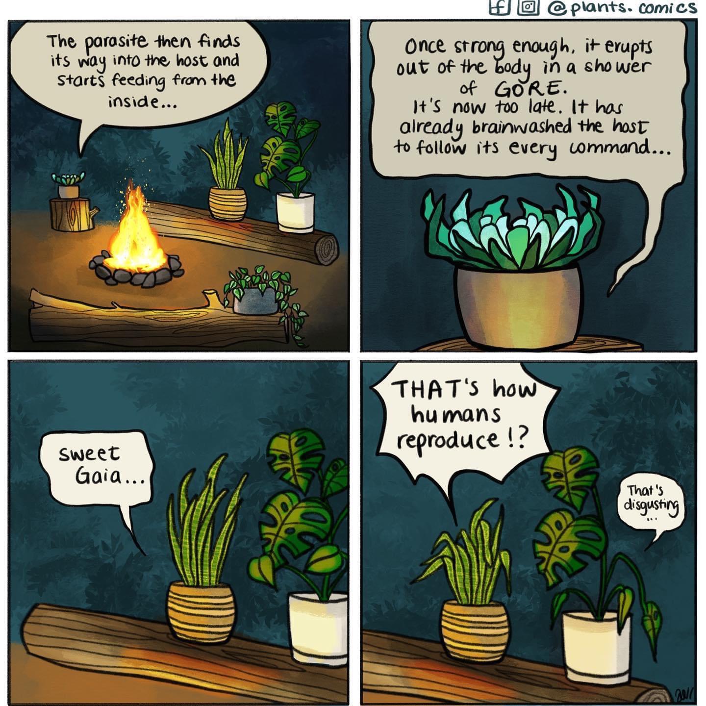 Scary campfire story [OC] | Scrolller