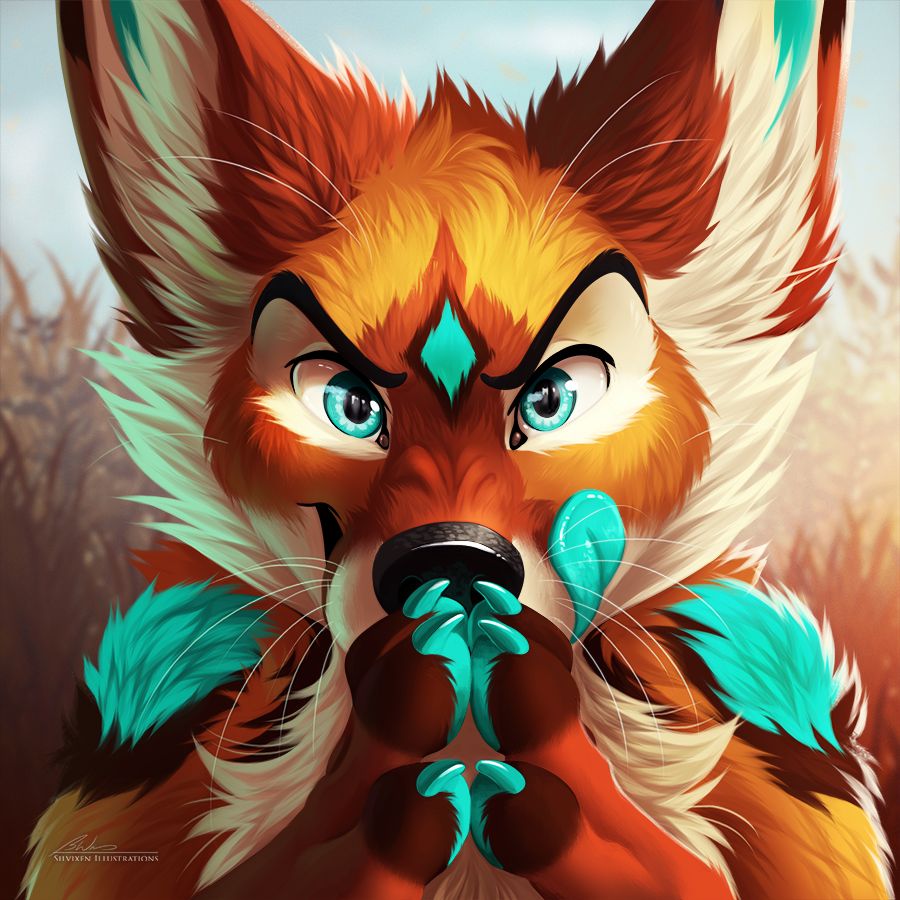 Scheming Coyote [Silvixen] | Scrolller