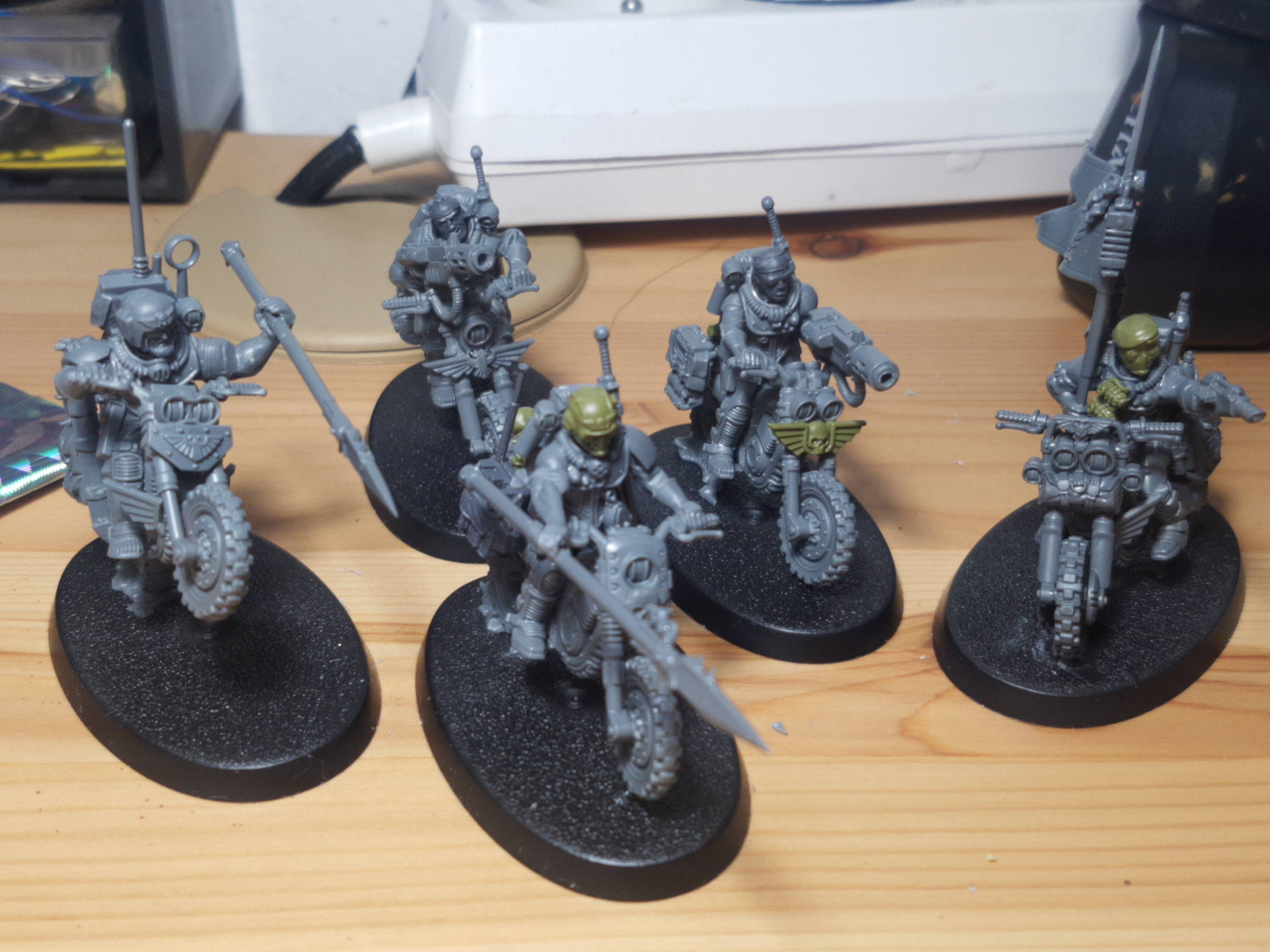 Schola Progenium Dropouts: Rough Riders, as of today - Legendary Riders! | Scrolller