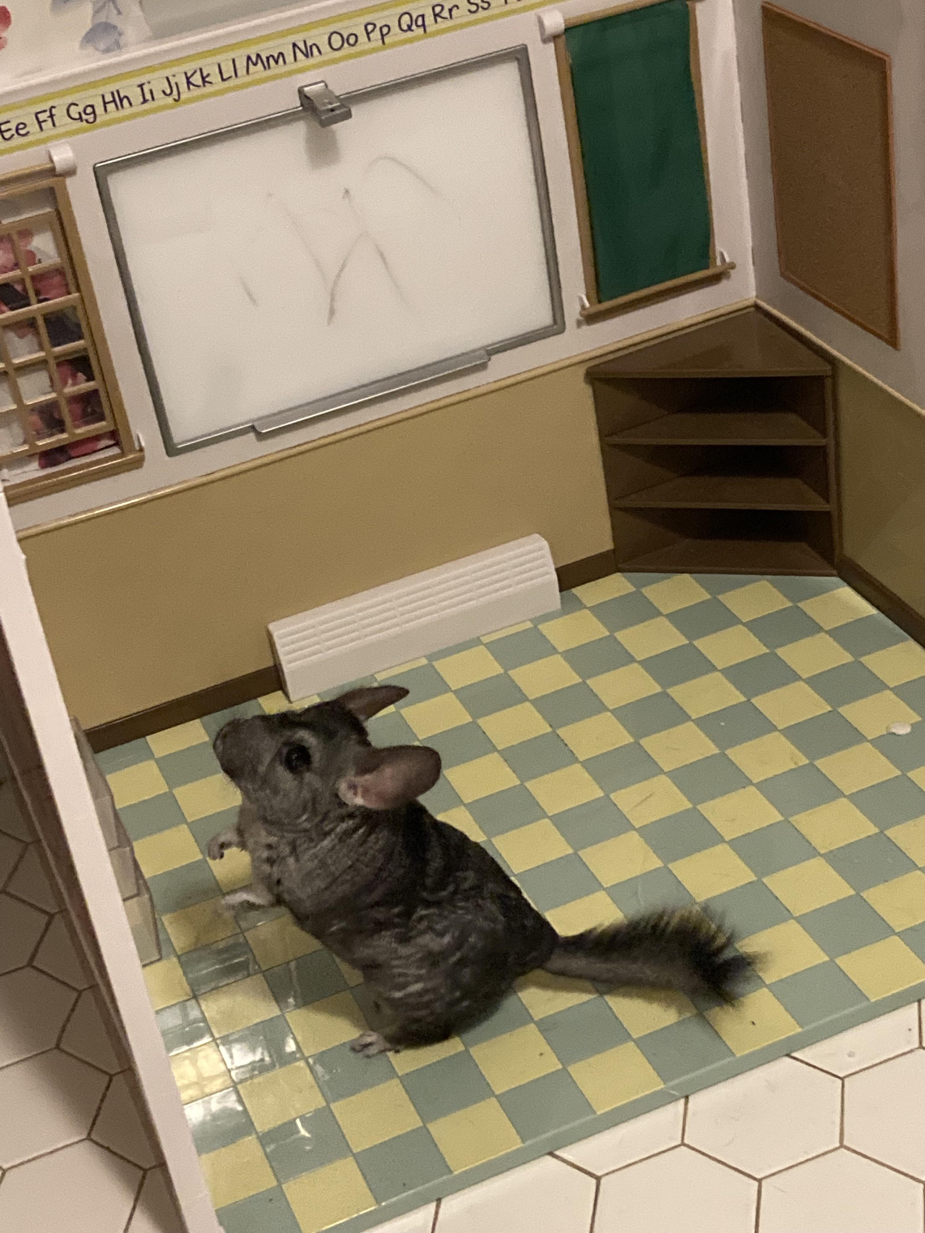 School is now in session | Scrolller