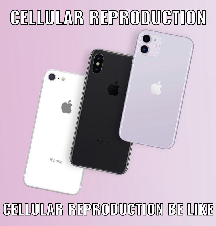 science memes>> | Scrolller