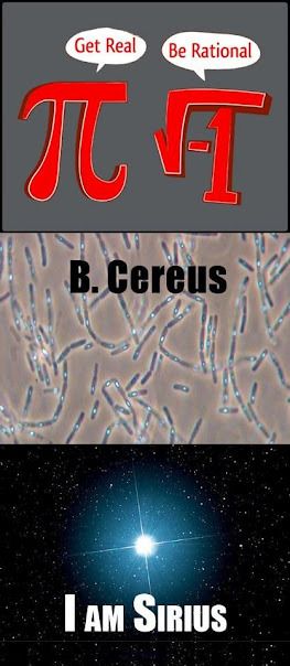 science puns | Scrolller